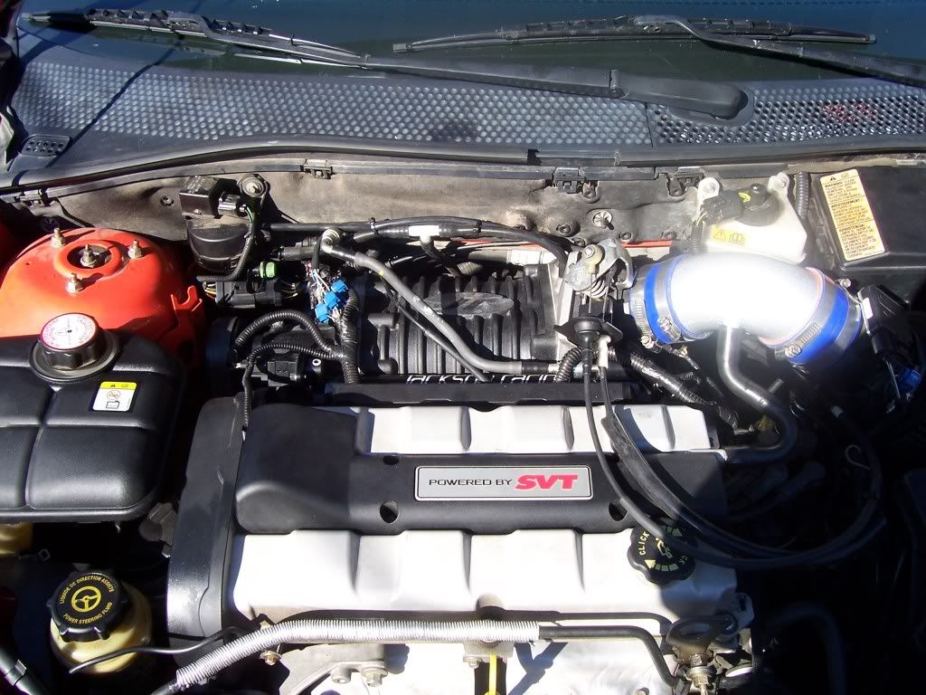 modded competition orange svt!! | Focus Fanatics Forum