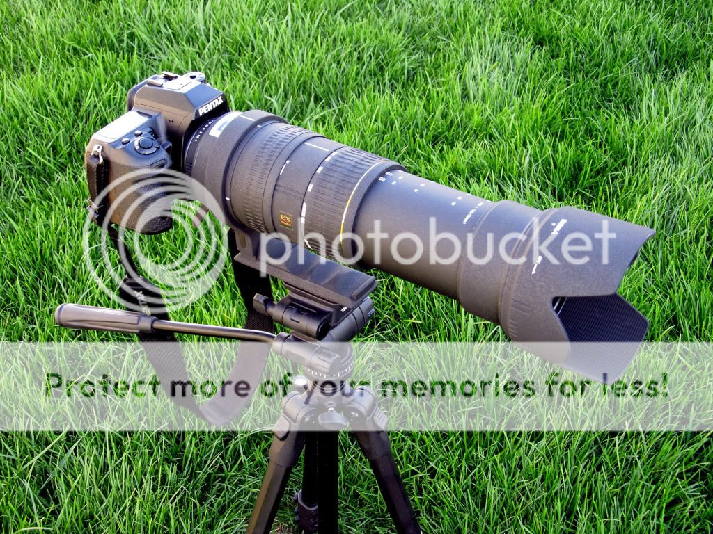 Bigma - Sigma 50-500 4-6.3 EX APO - PentaxForums.com